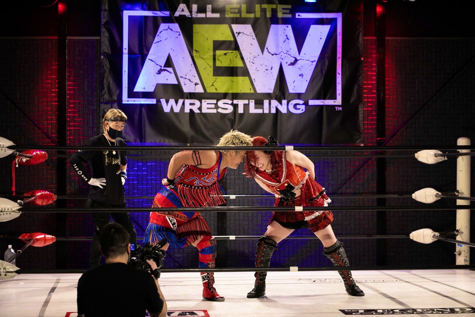 RESULTS: AEW Women's Champion Eliminator Tournament Japanese Bracket ...